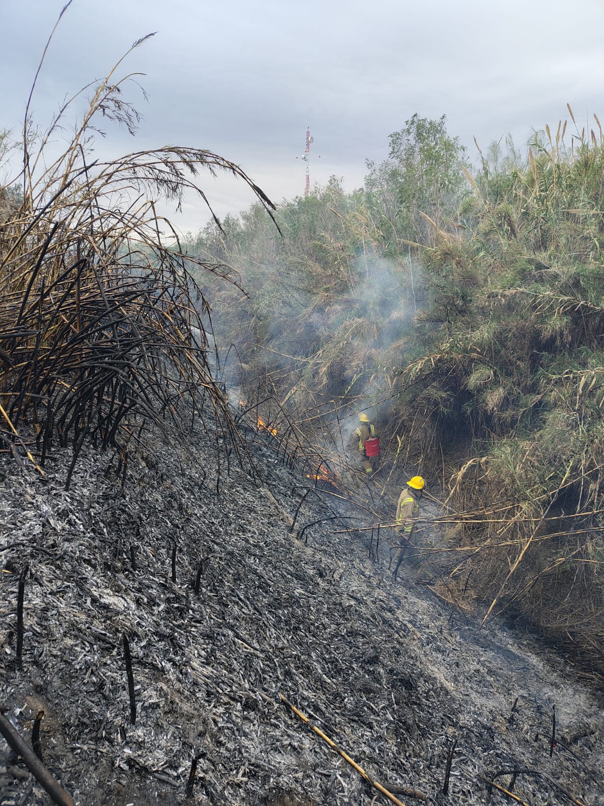 CONTROLAN INCENDIO DE CARRIZO Y PASTIZAL EN CAMARGO SIN REGISTRAR ...